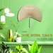 Rustic Fan Wall Decor Fan Headboard Bamboo Headboard - Etsy