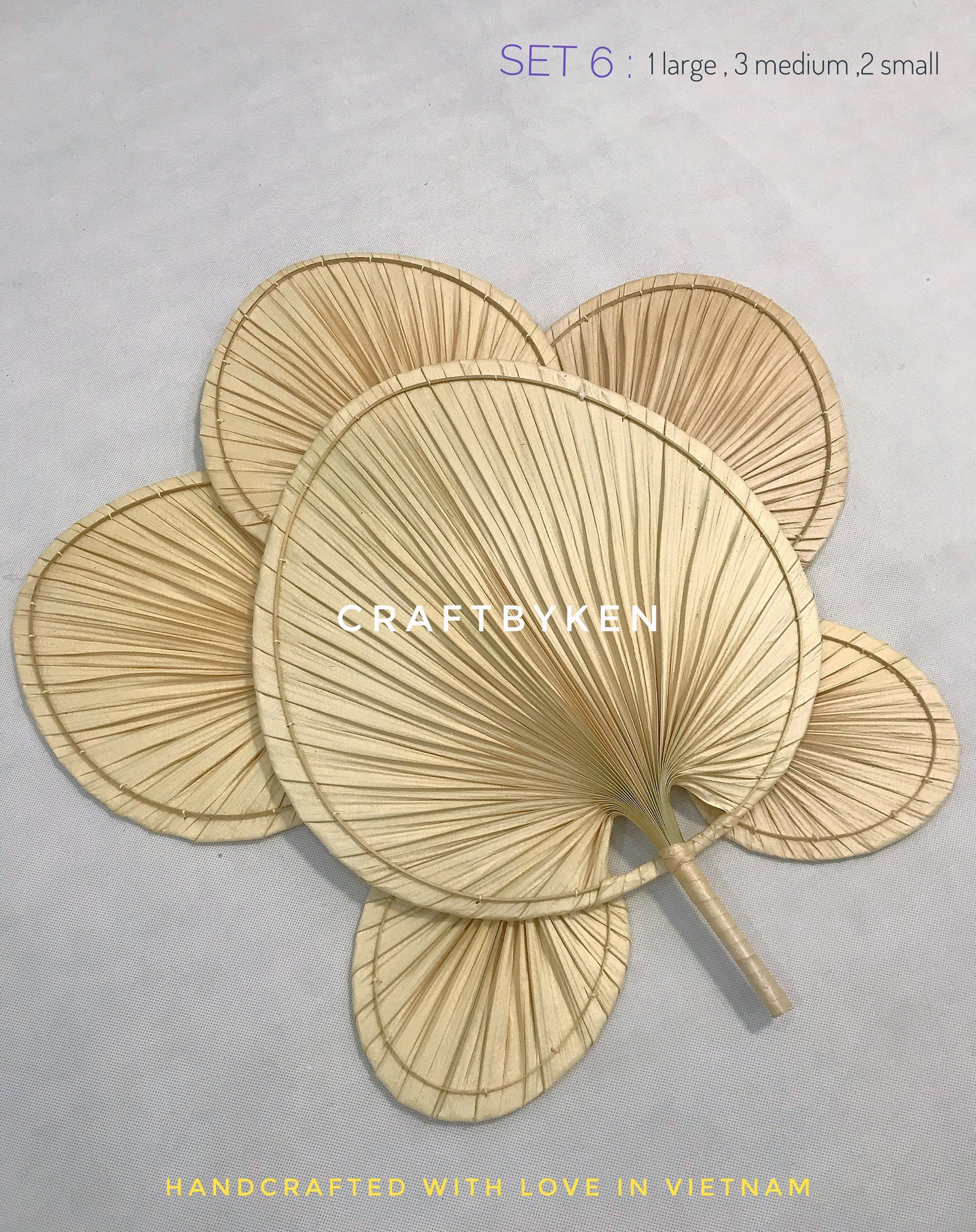 Palm Leaf Hand Fan and Wall Decor Wall Hanging Pendan Fan Boho Woven ...