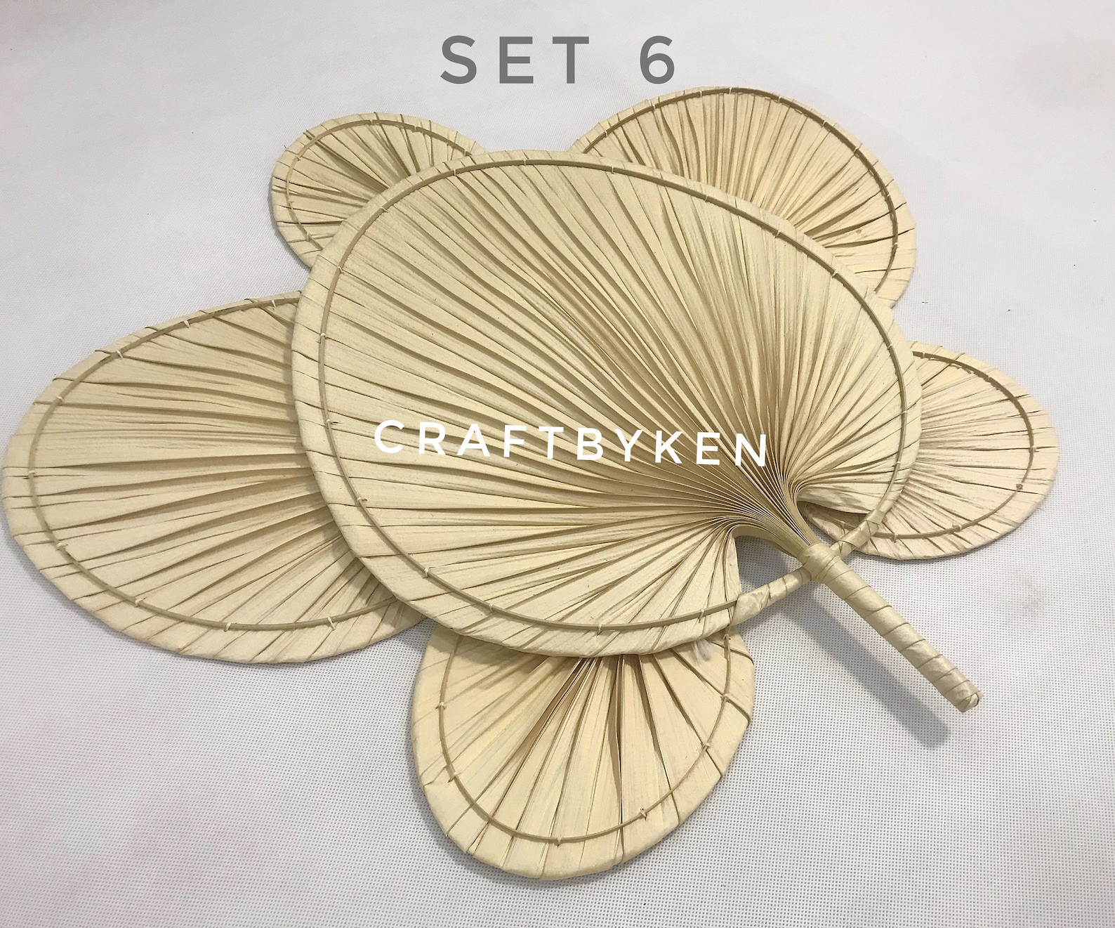 Palm Leaf Hand Fan and Wall Decor Wall Hanging Pendan Fan Boho Woven ...