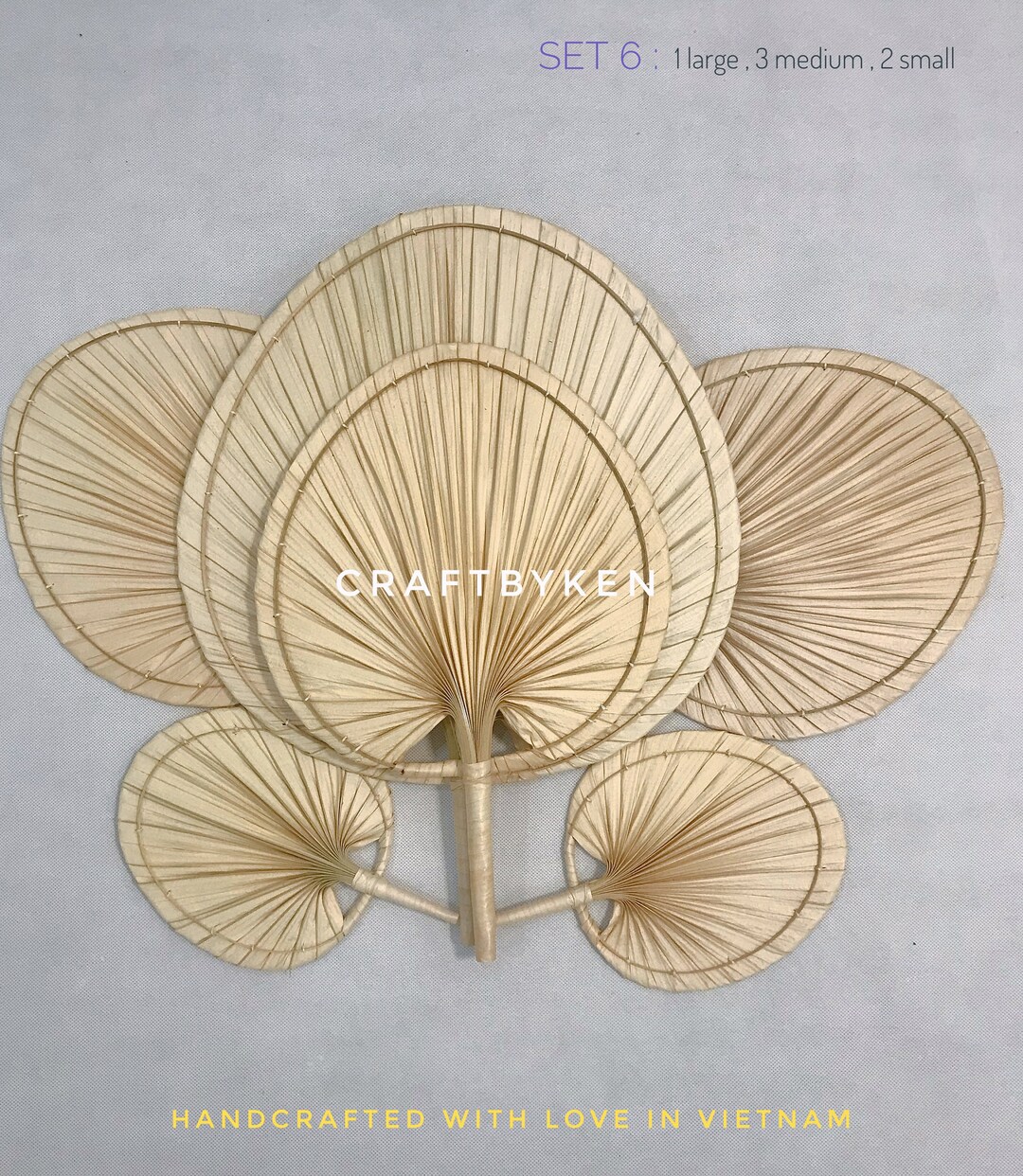 Palm Leaf Hand Fan and Wall Decor Wall Hanging Pendan Fan Boho - Etsy