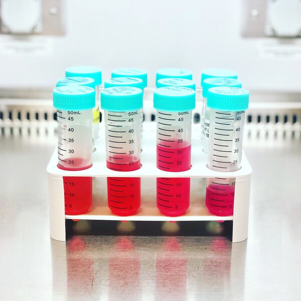 Test Tube Rack - Etsy