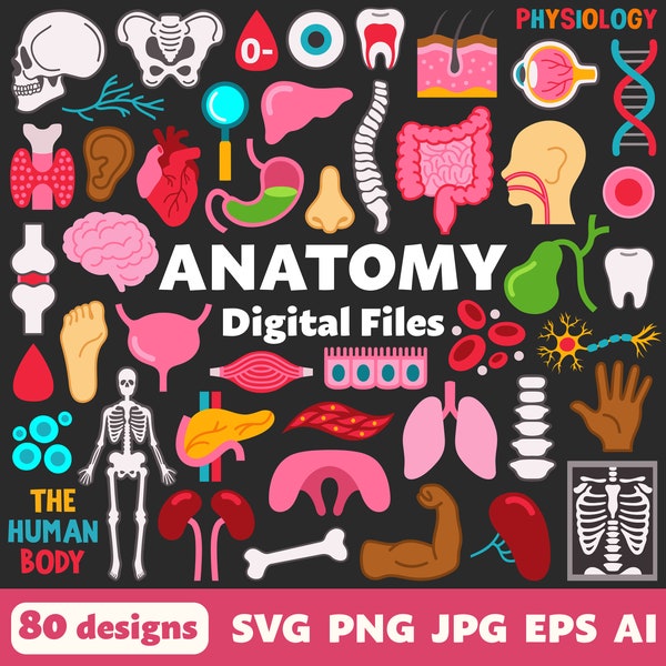 Human Anatomy Printable - Etsy