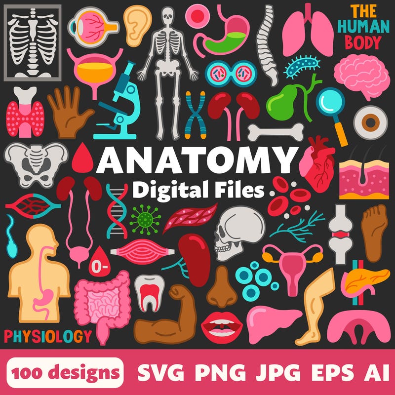 Body Parts Sticker Kids - Etsy