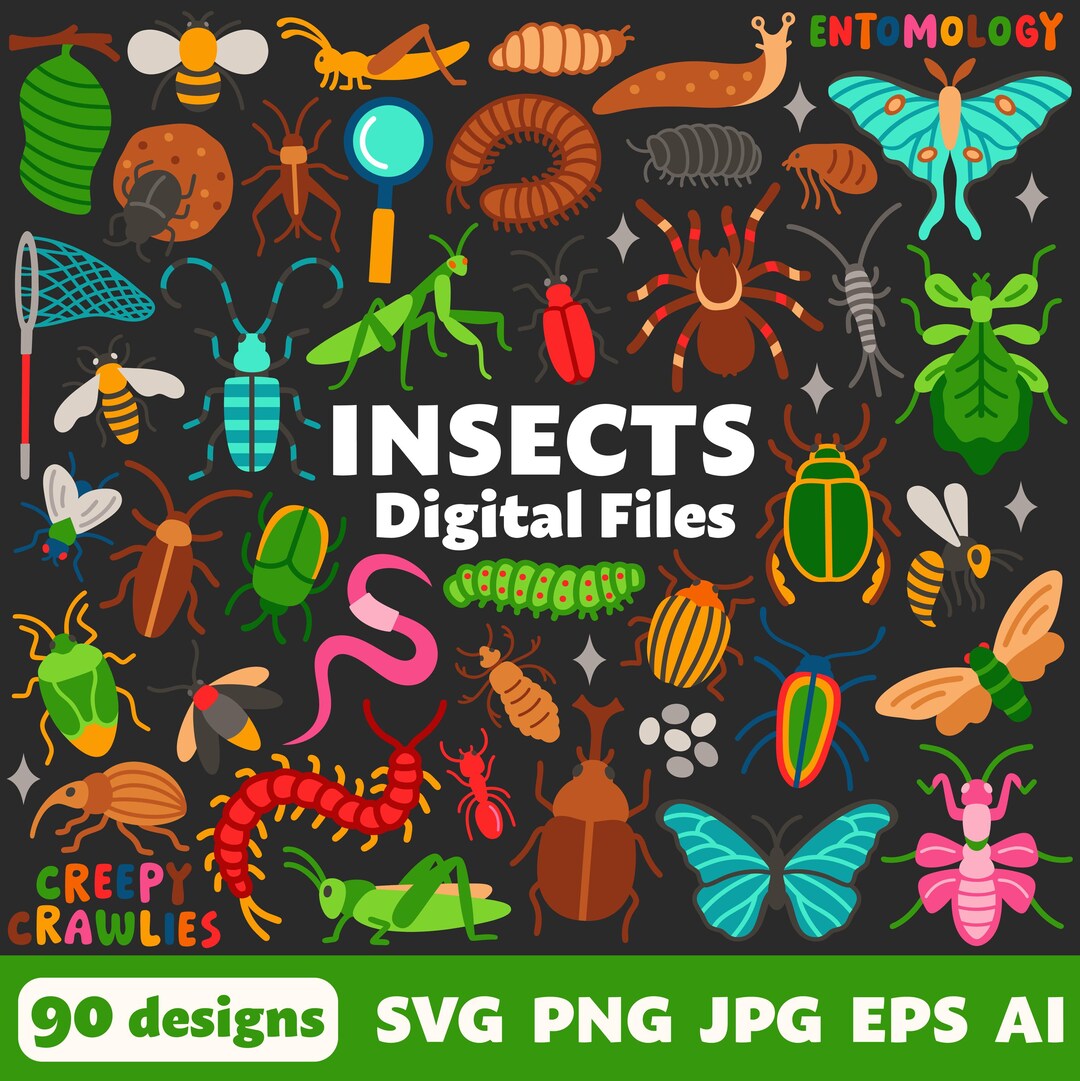 Insect Digital Files, SVG PNG JPG, Clipart, Cut Files, Cricut ...
