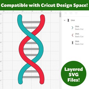 Science Digital Files, SVG PNG JPG, Clipart, Cut Files, Printable ...