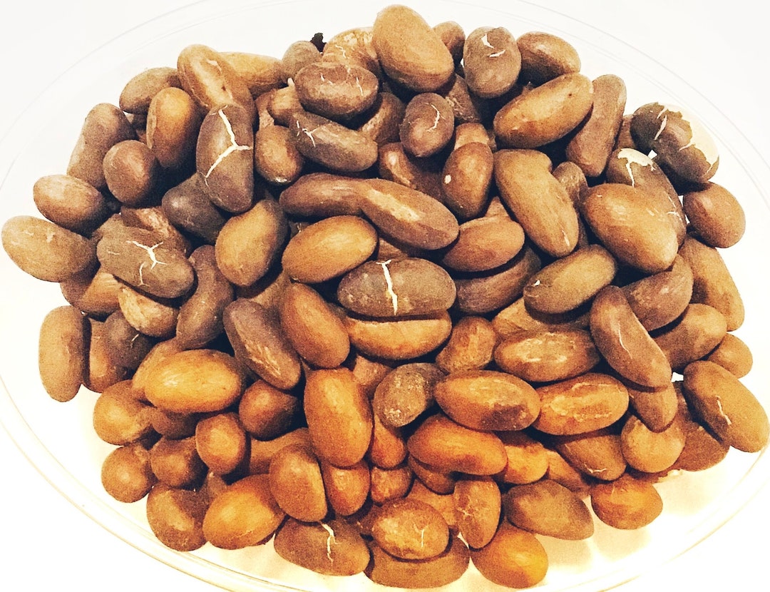 Bitter Kola Nut Garcinia Kola Nut - Etsy