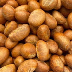 African Garcinia Bitter Kola Nuts, Super Fresh, Organic & Gmo-free - 8 ...