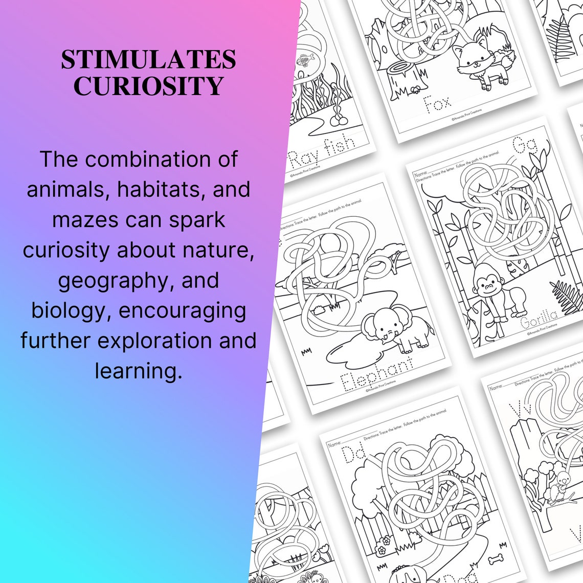 Alphabet Animal Mazes Activity Pages for Kids, Kids Maze Printable - Etsy