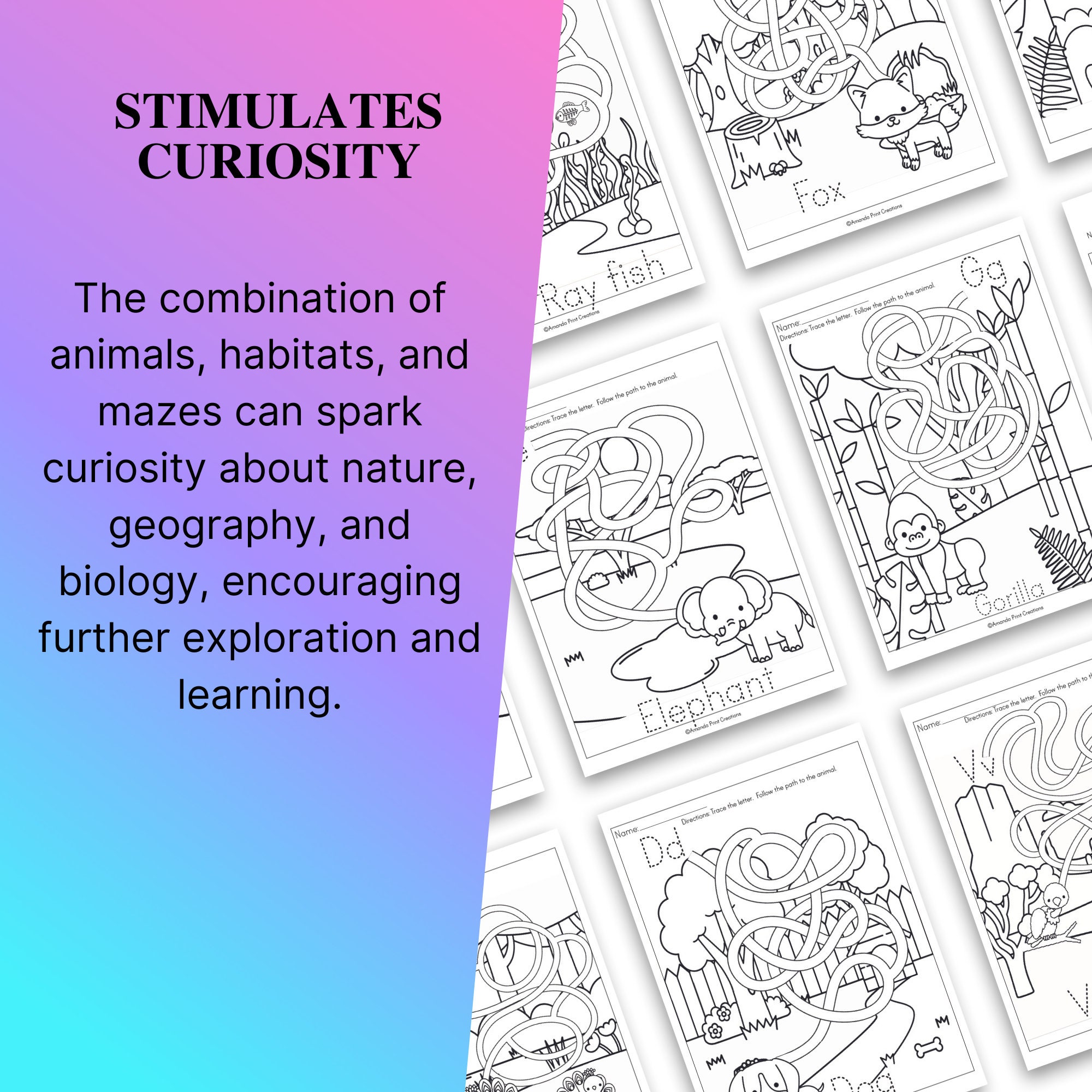 Alphabet Animal Mazes Activity Pages for Kids, Kids Maze Printable - Etsy