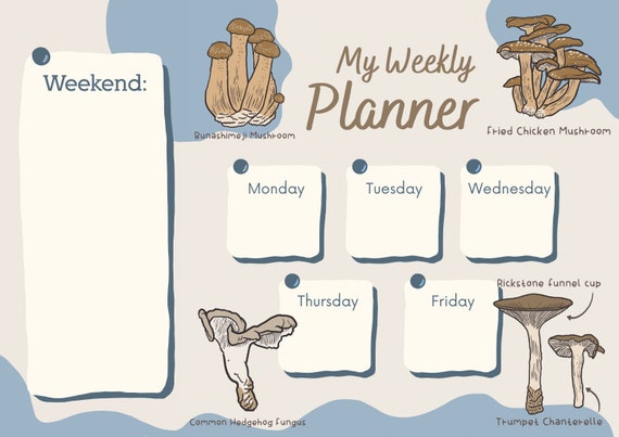 Paper & Party Supplies Calendars & Planners Paper Mushroom Weekly ...