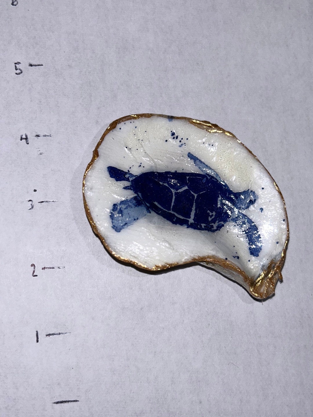 Sea Turtle Oyster Shell - Etsy