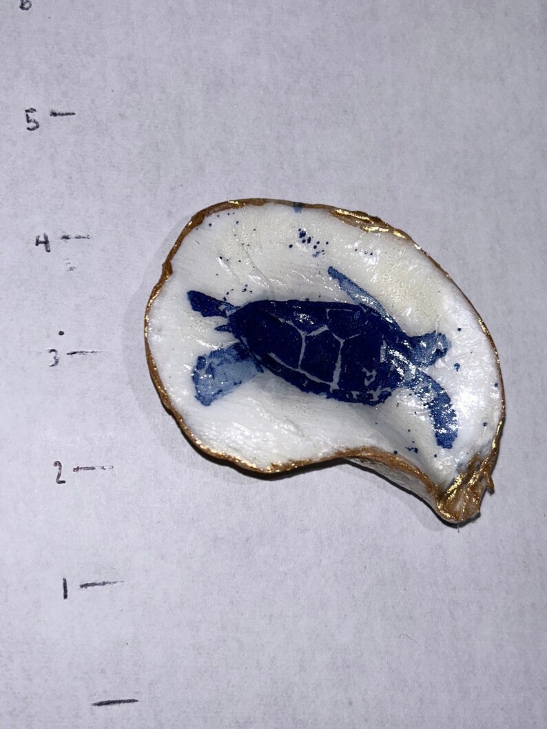 Sea Turtle Oyster Shell - Etsy