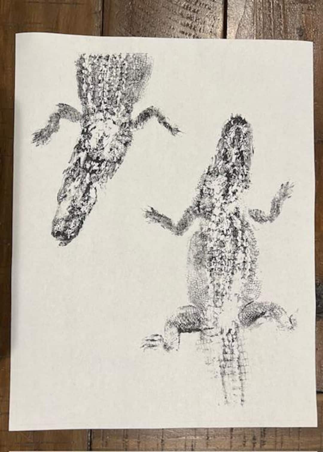 Digital Download, Gyotaku Alligator Twins - Etsy