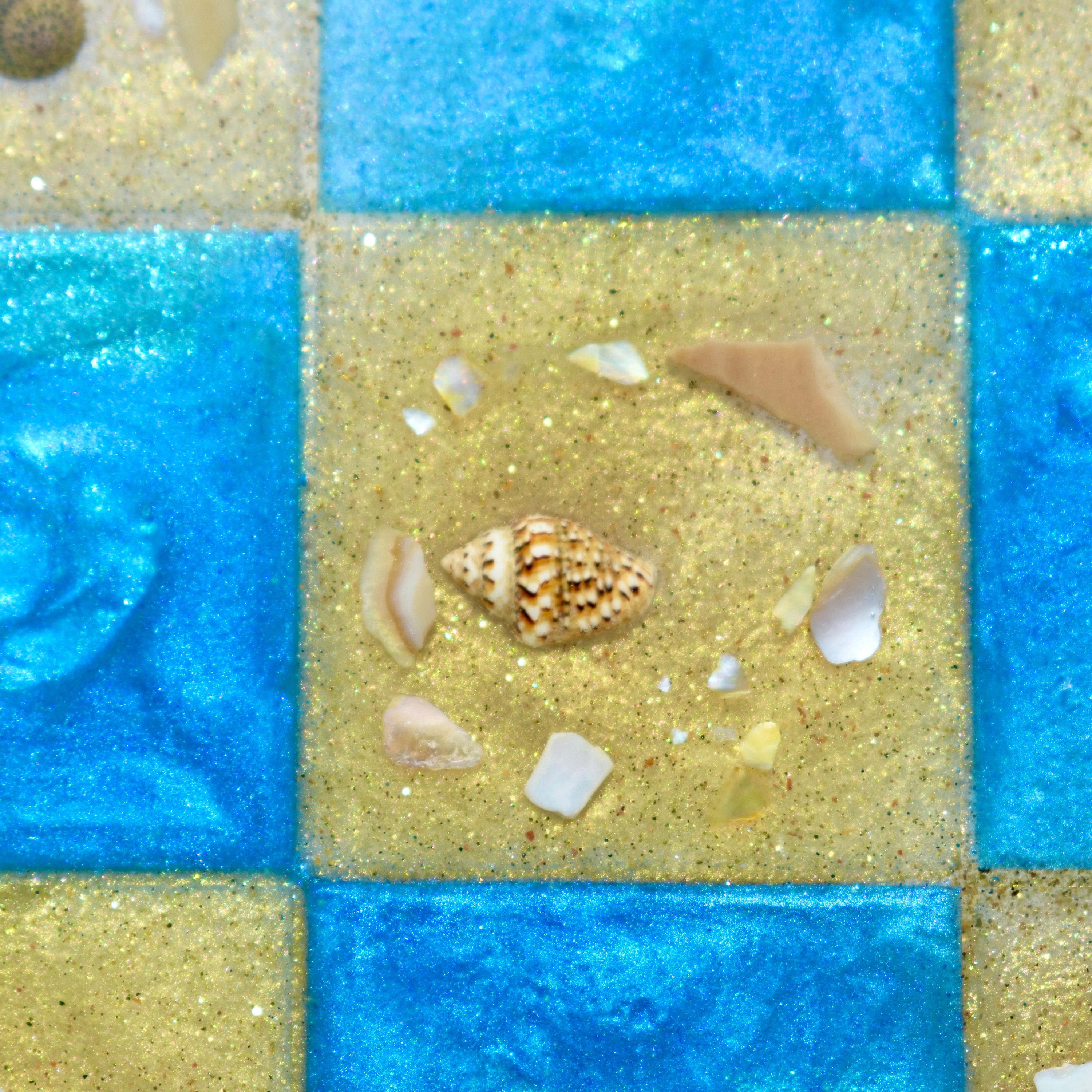 Beach Chess Board Seashell Chess/checkers Board Ocean Themed Chess ...
