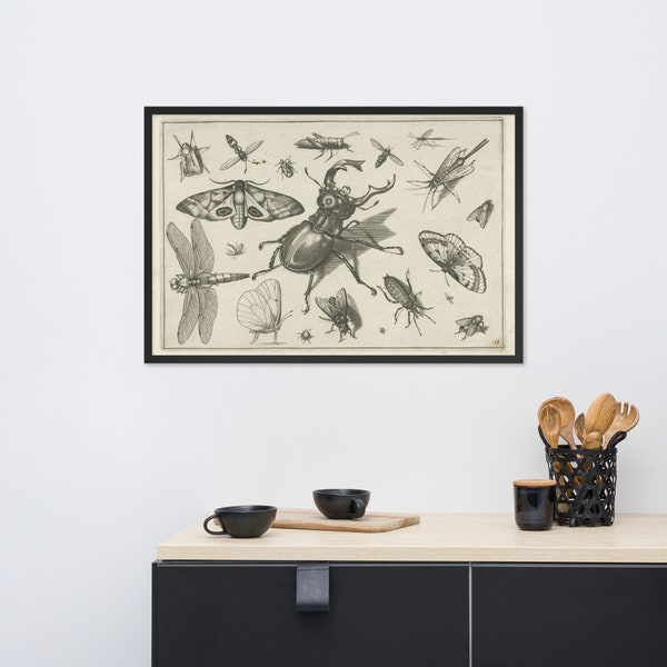 Scientific Illustrations - Etsy