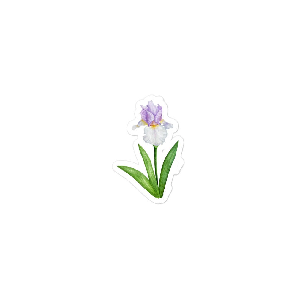 Iris Sticker, Flower Sticker, Spring Sticker, Iris Flower, Floral ...