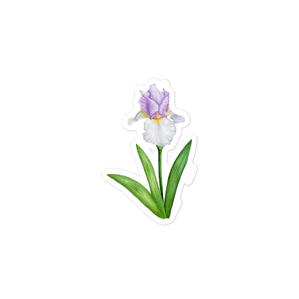 Iris Sticker, Flower Sticker, Spring Sticker, Iris Flower, Floral ...
