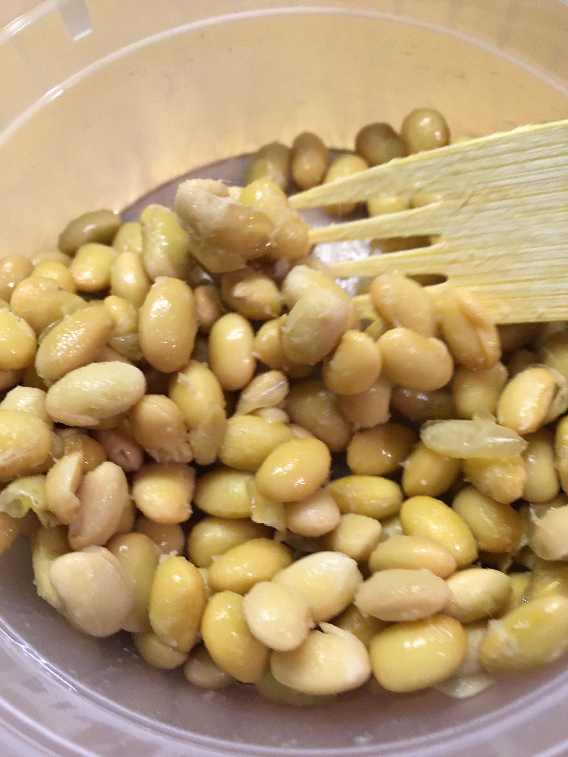 Natto Starter (spores) 3g Enough to Make 30 Kg Natto. No GMO, Organic ...