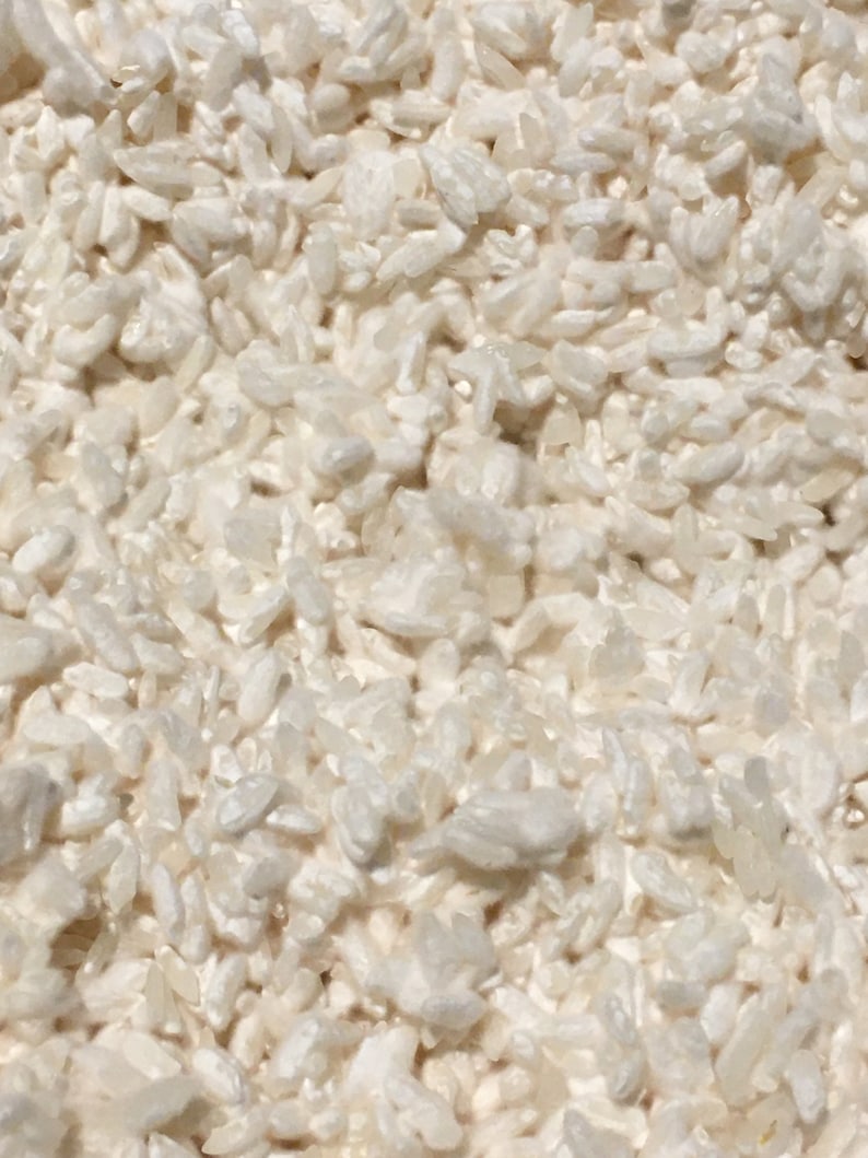Koji Starter (white Koji) "shirayuki Komachi" 10g to Make 15 Kg of Koji ...