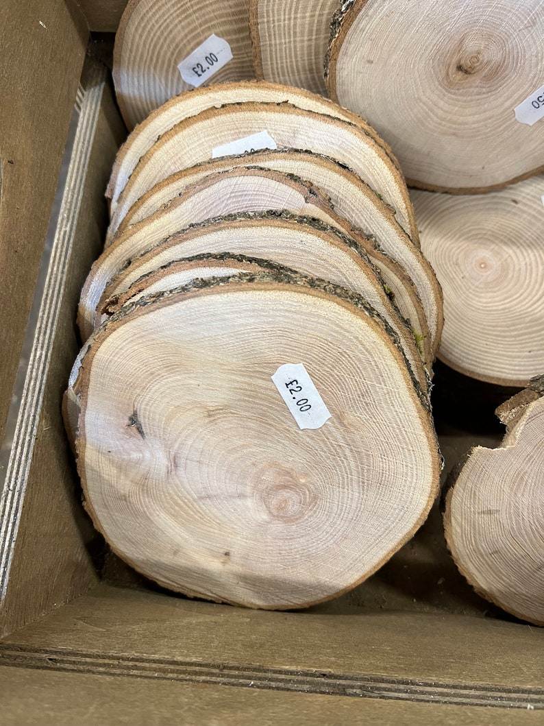 Live Edge Real Wood Wooden Rounds Stumps Disks Rustic Log Slices ...