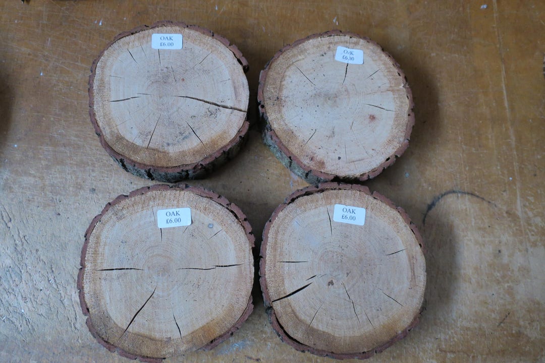 Real English Wood Oak - Log Slices - Wooden - Rounds - Disks - Handmade ...