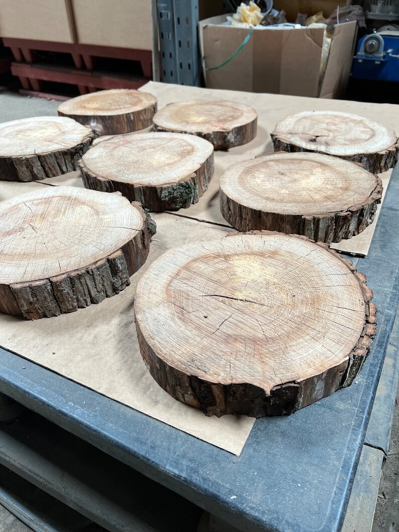 Real English Wood Elm Log Slices Wooden Rounds Disks - Etsy UK