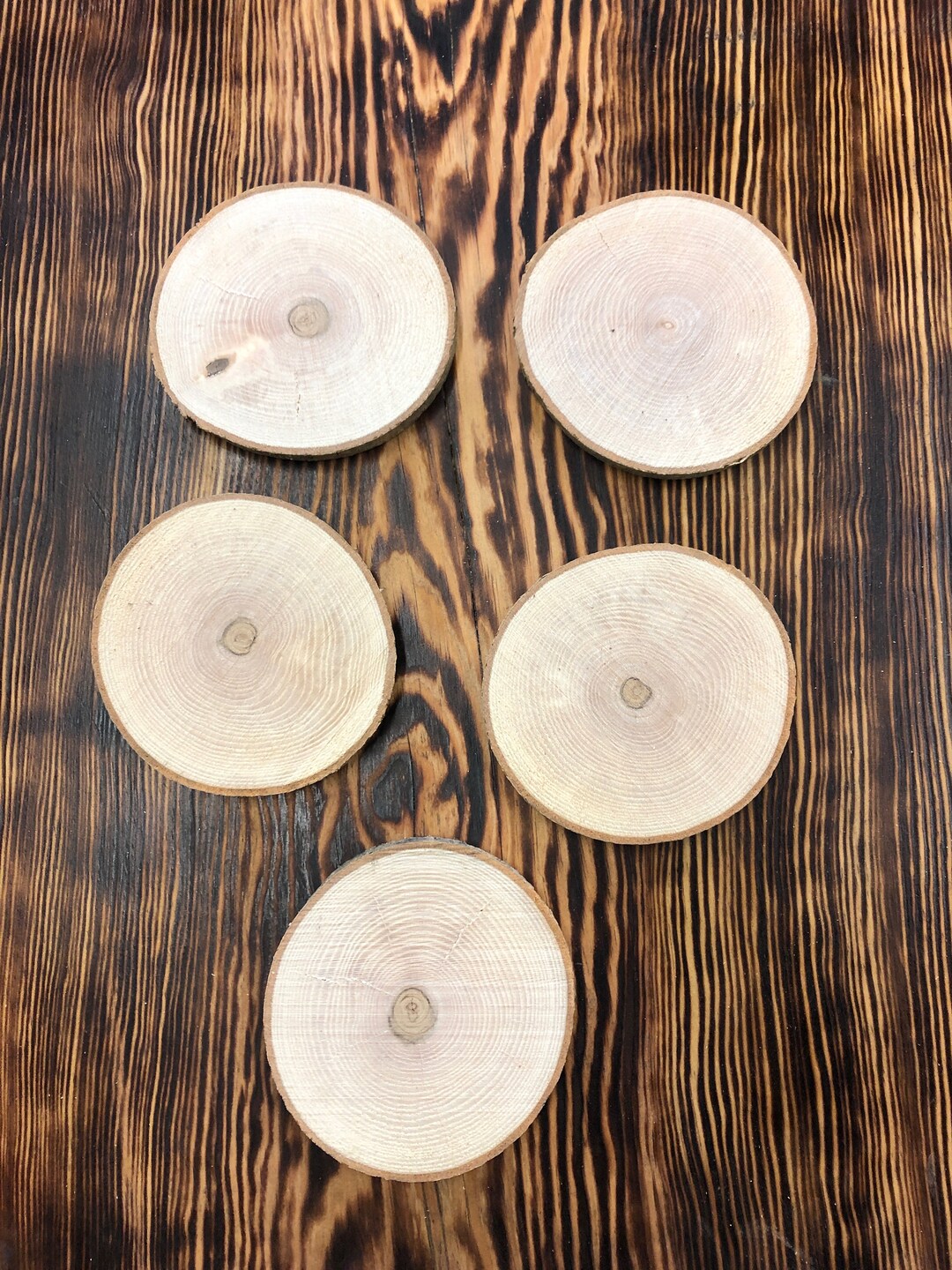 Live Edge Ash Small Thin Wooden Rounds Coasters Wedding Rustic Wood Log ...