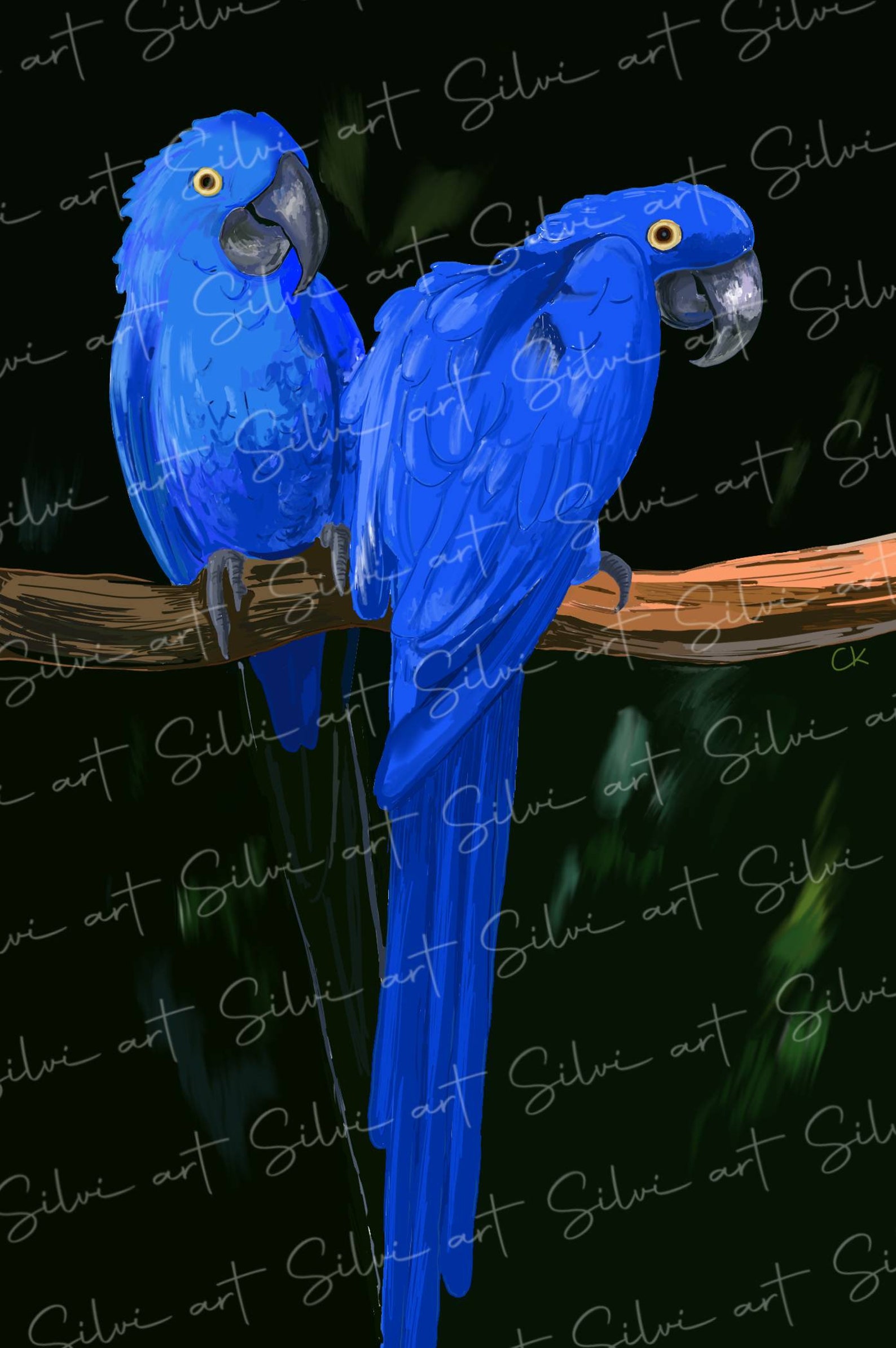 Beautiful Blue Parrots Digital Drawing/ Digital Art/ Digital - Etsy