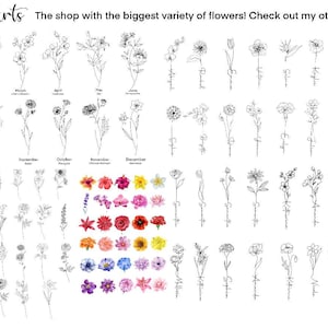 Custom Name Flower With Color | Birth Flower Gift | Tattoo Comission ...