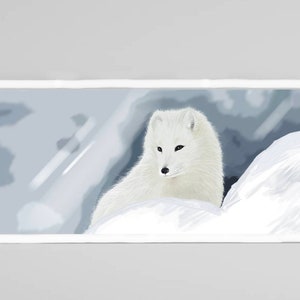 Digital Drawing of Polar Fox/ Digital Art/ Wall Decor - Etsy