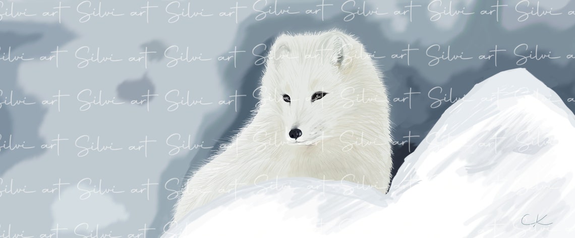 Digital Drawing of Polar Fox/ Digital Art/ Wall Decor - Etsy