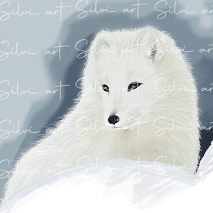 Digital Drawing of Polar Fox/ Digital Art/ Wall Decor - Etsy