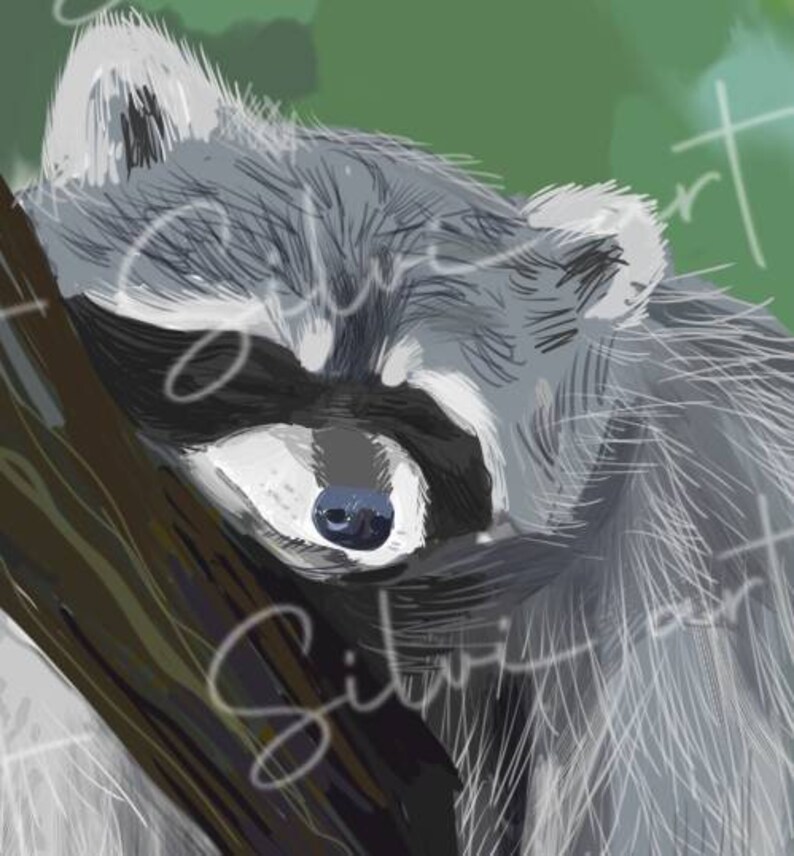 Racoon Digital Drawing/ Printable Artwork/ Wall Decor/ Nature - Etsy