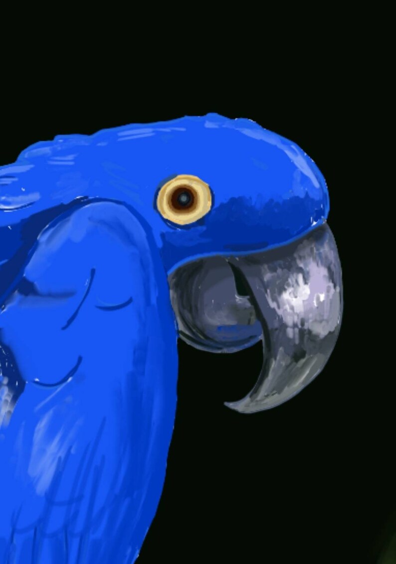 Beautiful Blue Parrots Digital Drawing/ Digital Art/ Digital - Etsy
