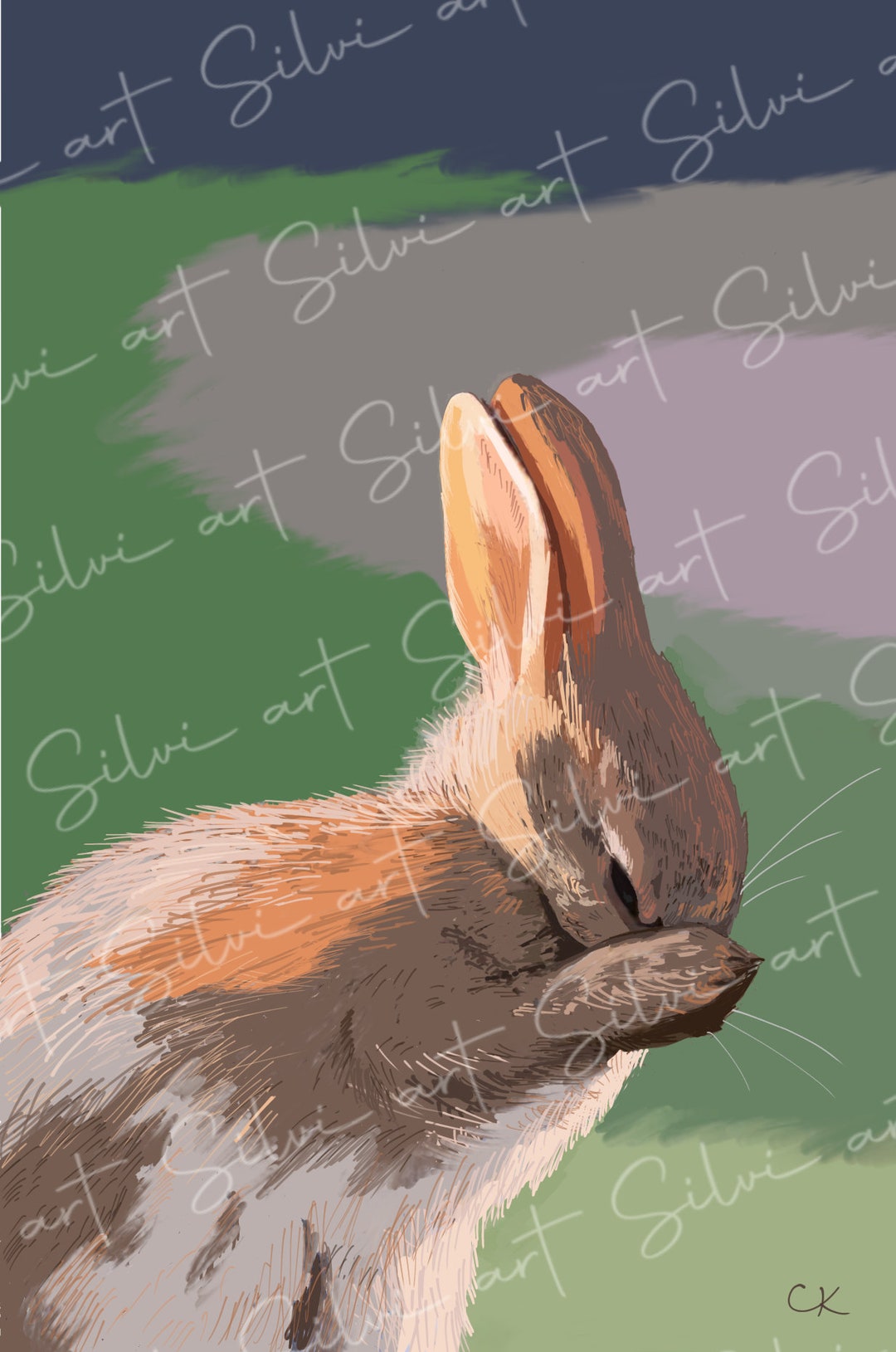 Digital Drawing of Rabbit/ Digital Art/ Digital Print - Etsy
