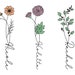 Custom Name Flower With Color | Birth Flower Gift | Tattoo Comission ...