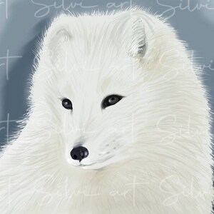 Digital Drawing of Polar Fox/ Digital Art/ Wall Decor - Etsy