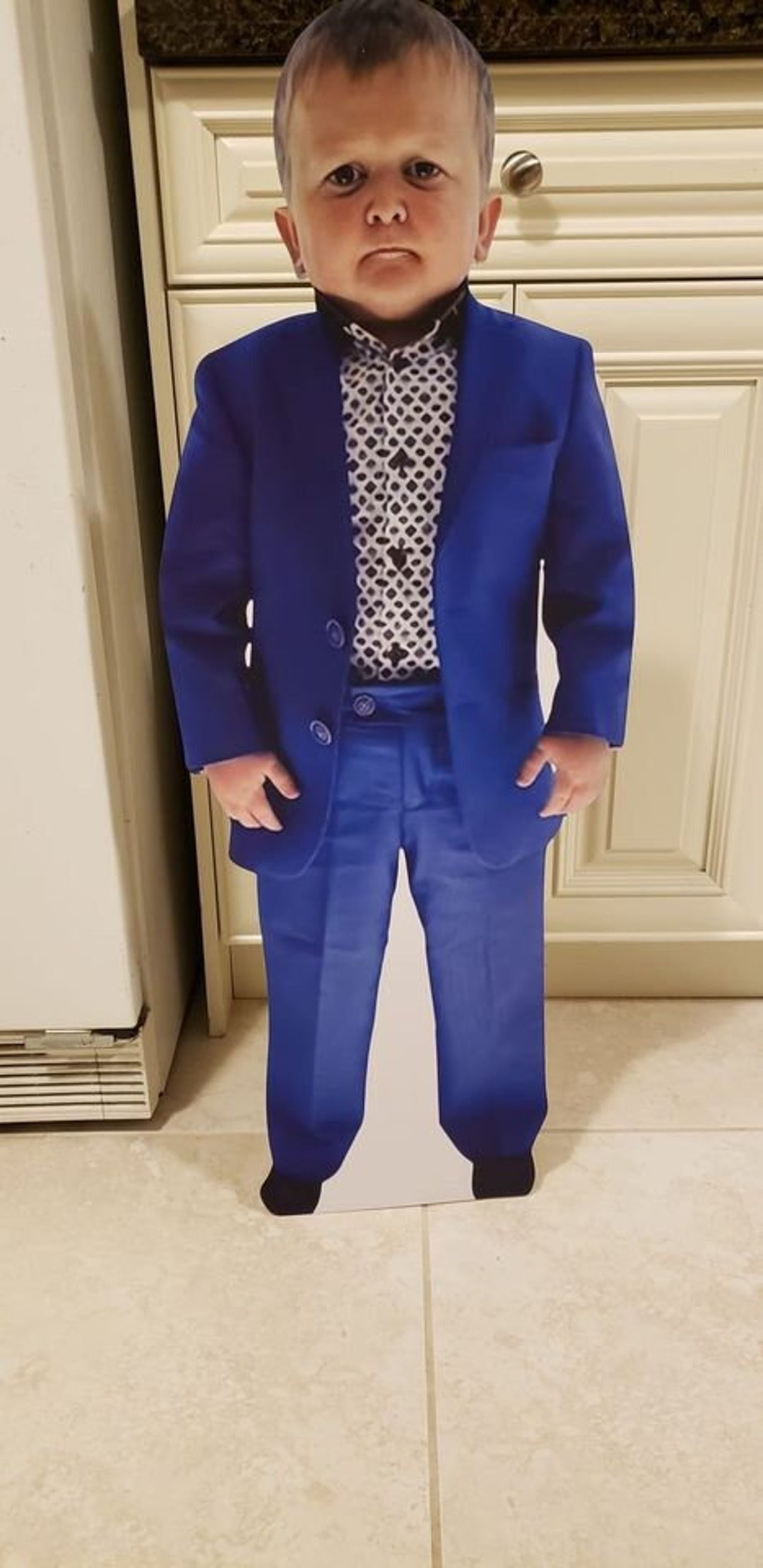 Hasbulla Magomedov aka Mini Khabib Modelo de - Etsy México