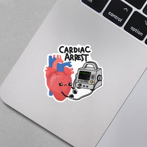 Cardiac Cute Heart Anatomy Sticker, Funny Anatomical Heart Sticker ...