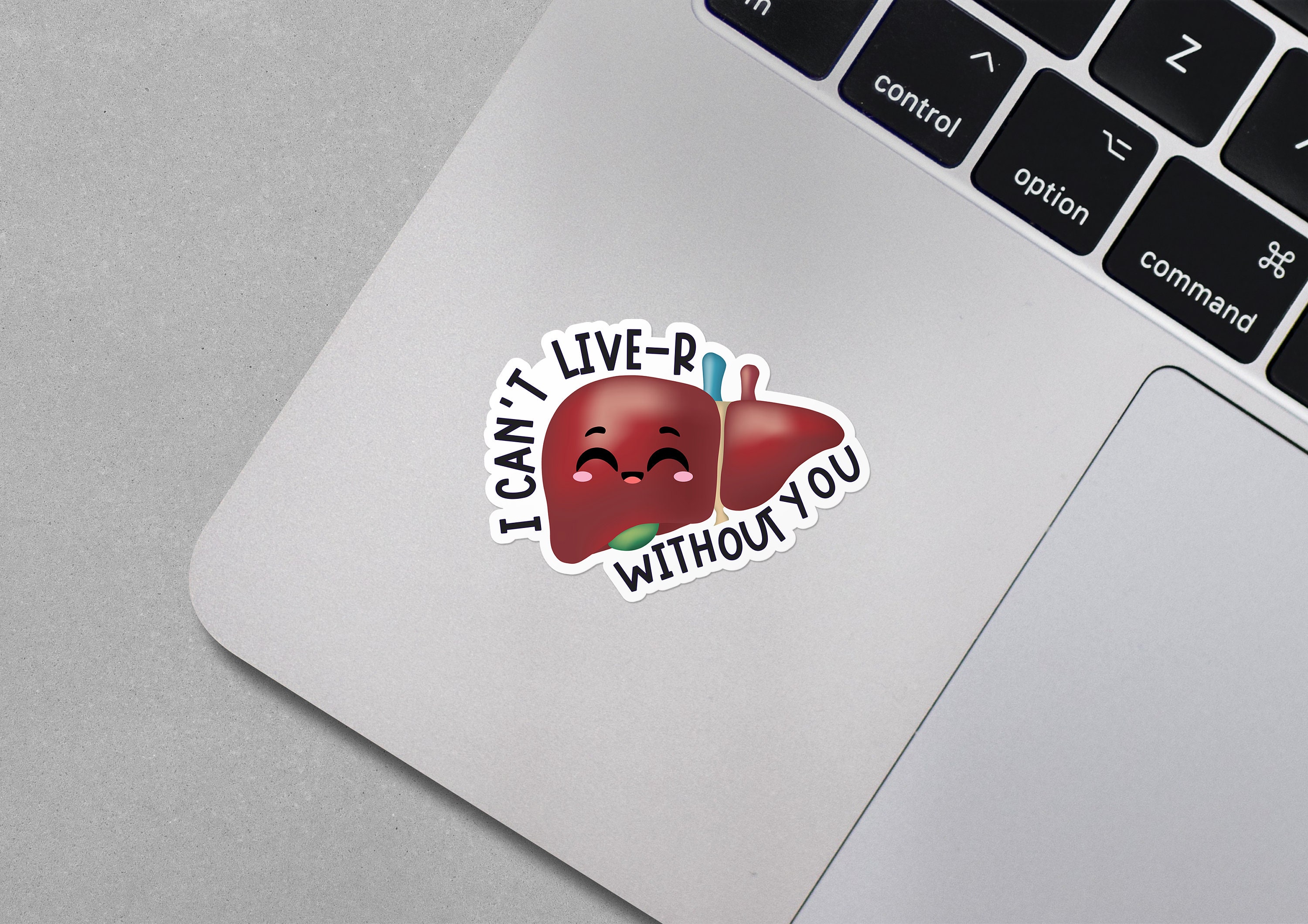 Liver Anatomy Sticker, Funny Anatomical Liver Sticker Set for Nurse ...