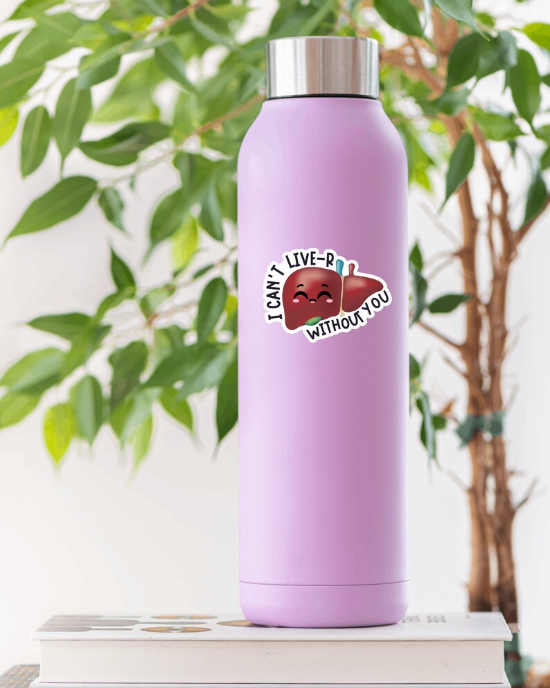 Liver Anatomy Sticker, Funny Anatomical Liver Sticker Set for Nurse ...