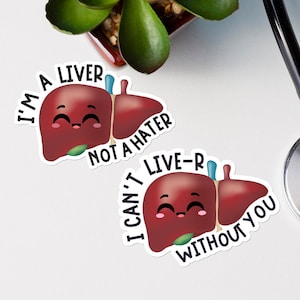 Liver Anatomy Sticker, Funny Anatomical Liver Sticker Set for Nurse ...