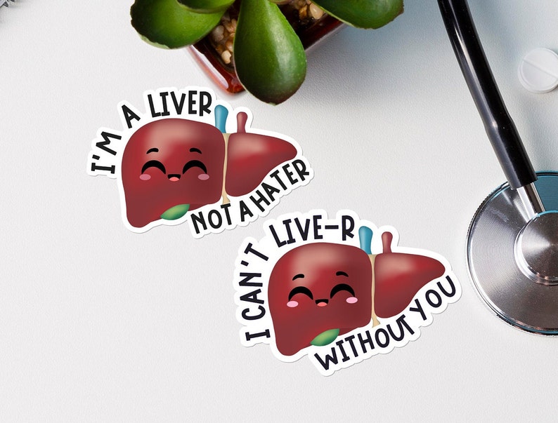 Liver Anatomy Sticker, Funny Anatomical Liver Sticker Set for Nurse ...