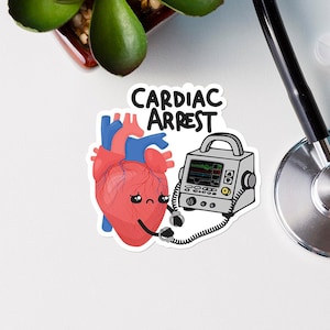 Cardiac Cute Heart Anatomy Sticker, Funny Anatomical Heart Sticker ...
