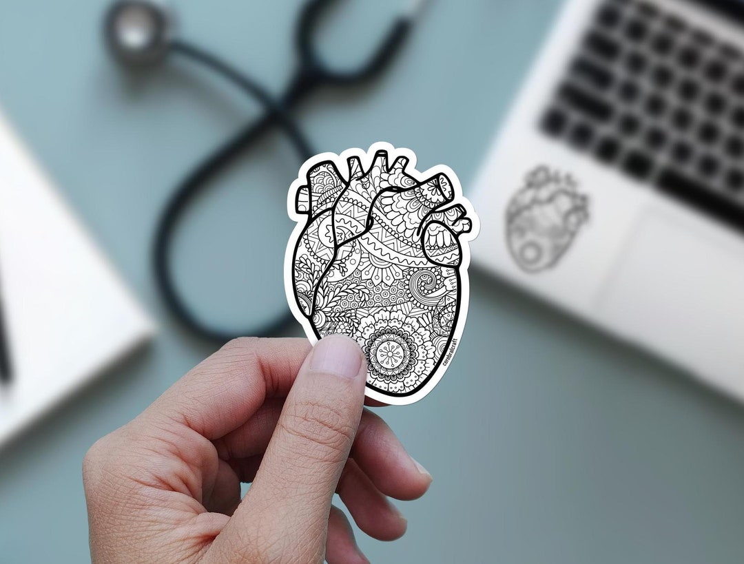 Anatomical Heart Sticker for Nurse, Cardiology Sticker for Doctor ...