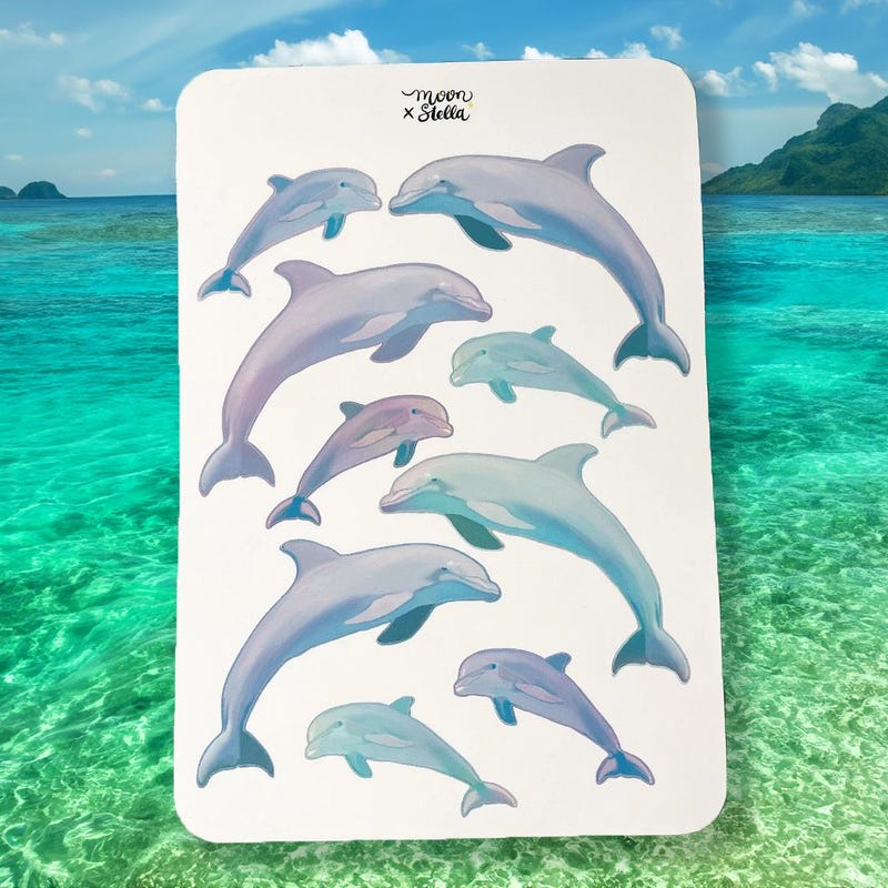 Dolphin Sticker - Etsy