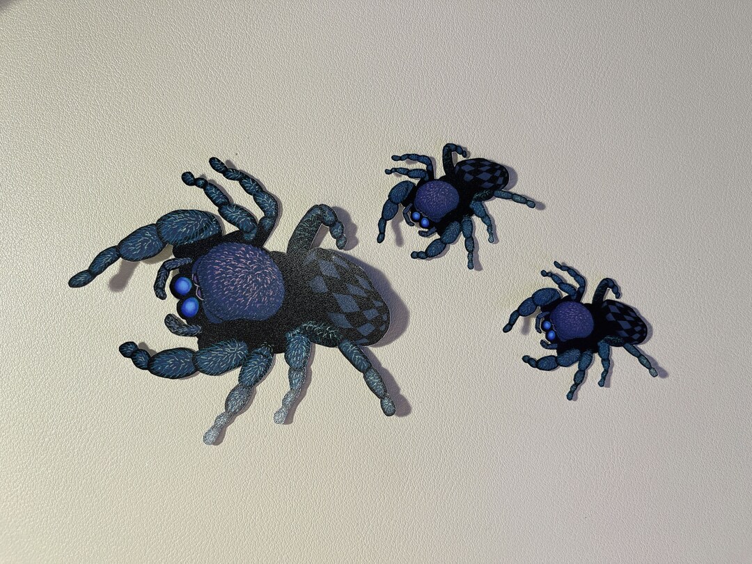 Jumping Spider Sticker With Checkered Racing Pattern, Racing Spider ...