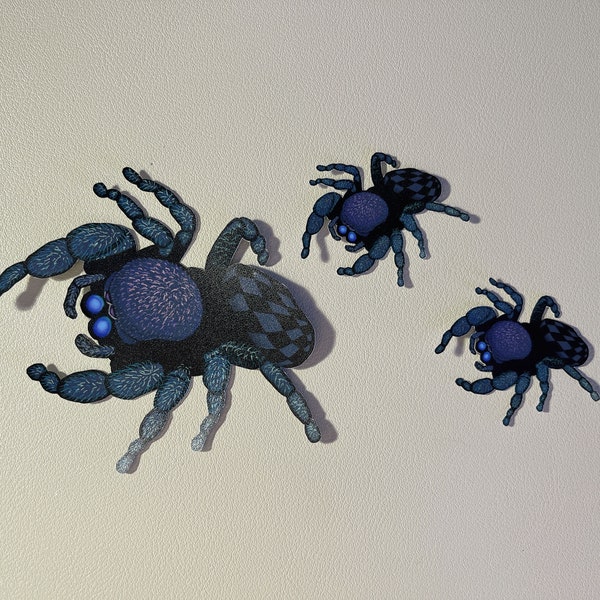 Spider Gift Tag - Etsy