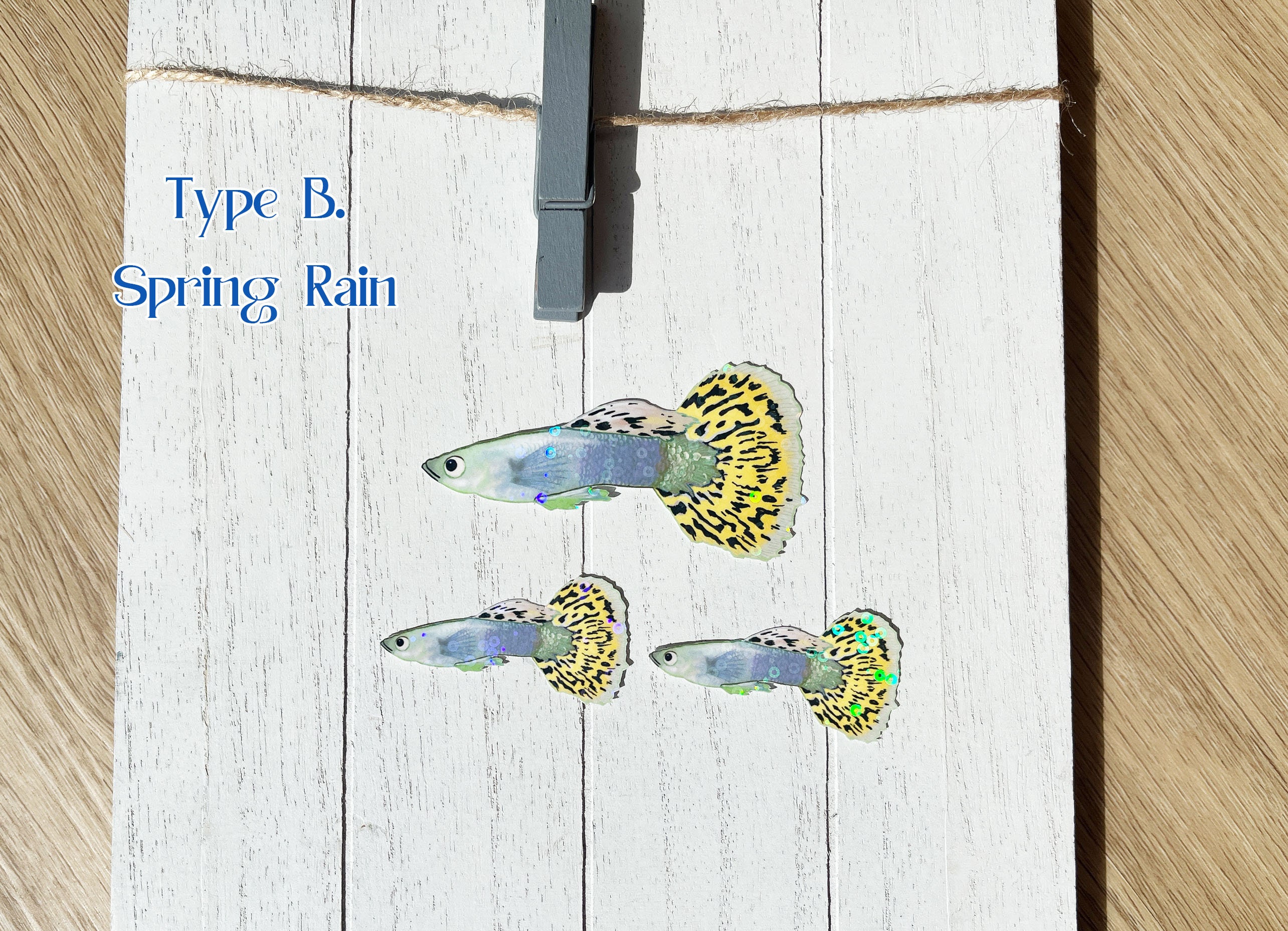 Holographic Guppy Fish Family Stickers Laminated and - Etsy