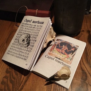 Caput Mortuum V.1 & V.2 (life, Death, Magnum Opus, Alchemy, Theurgy, Skull Lore) - Etsy